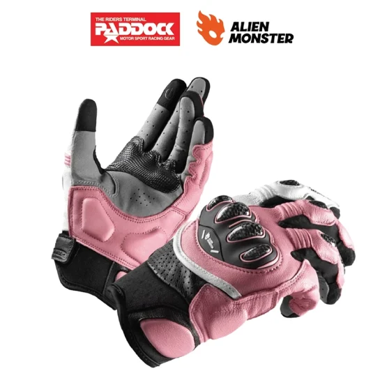 ANT KING | paddock.co.th